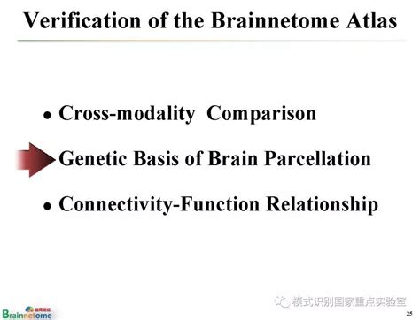 实验室蒋田仔研究员：脑网络组图谱近10年研究详解【附ppt】 Csdn博客