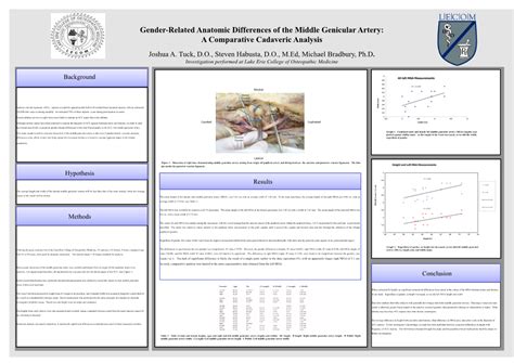 Gender Related Anatomic Differences Of The Middle Genicular Artery A Comparative Cadaveric