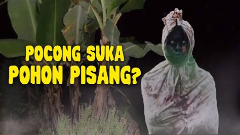 PERNAH LIHAT POCONG DI POHON PISANG INI PENJELASANNYA Kisah Api