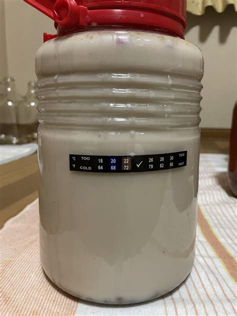 Tiny Bugs Eating Old Yeast Ok Bad What Are They R Winemaking