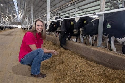 Sustainable Dairy Farming Facts Us Dairy