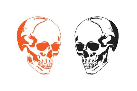 Human Skull Vector Art Graphic By Vector King · Creative Fabrica