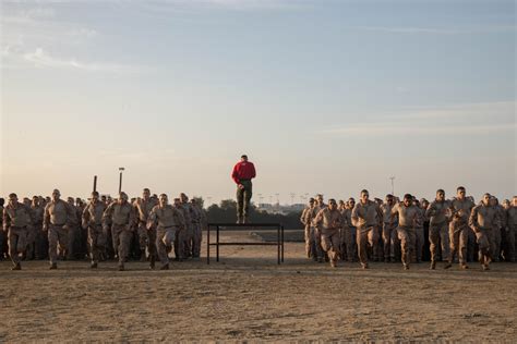 dvids images delta company 880 mcmap and obstacle course [image 1 of 12]