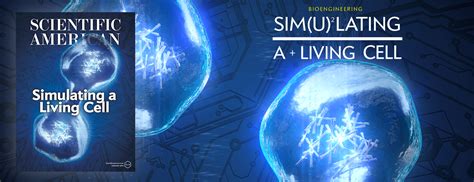 Scientific American Cell Simulation Ak3d®