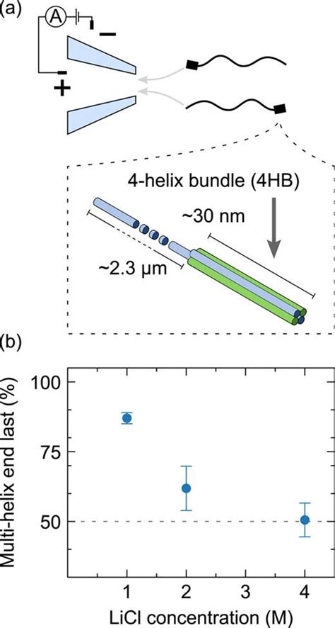 Promoting Single File Dna Translocations Through Nanopores Using