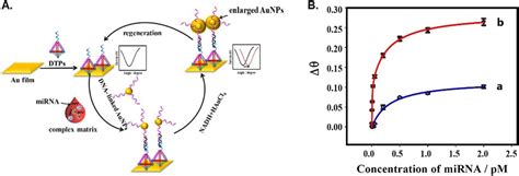 Schematic Illustration Of Reformative Aunps Assisted Spr Biosensor For