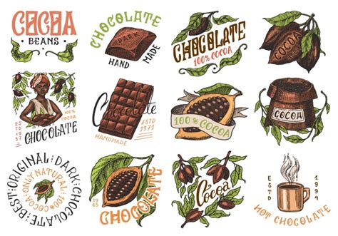 Cocoa Beans And Hot Chocolate Logos Modern Vector Image