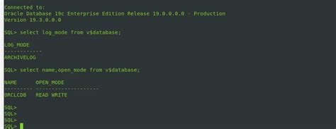 Enable Disable Archivelog Mode In Oracle Database
