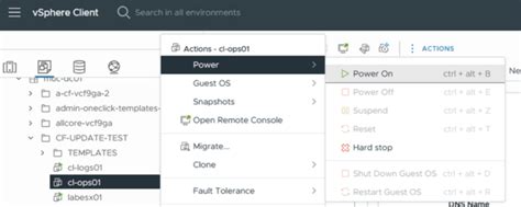Vcf9 Vcf Operations And Vcf Operations For Logs Installation