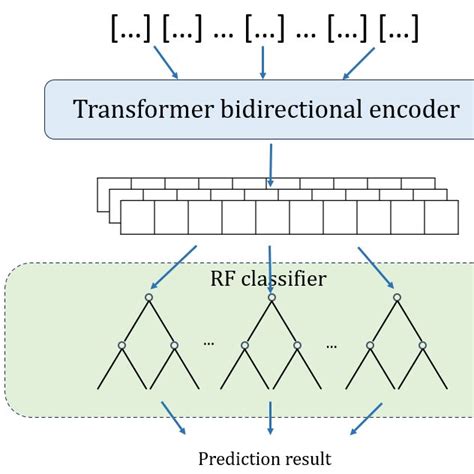 architecture of transformer bidirectional encoder support vector