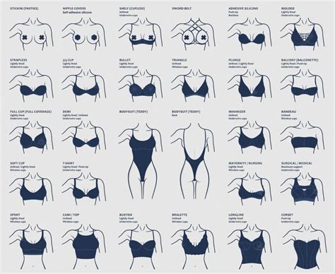 What Are The Different Types Of Bra Cups At Tracey Parrish Blog