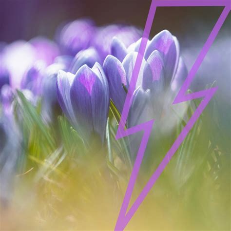 Blog 132 Nieuwe Aanwinsten Pre Orders Voordeel Albums En Discords