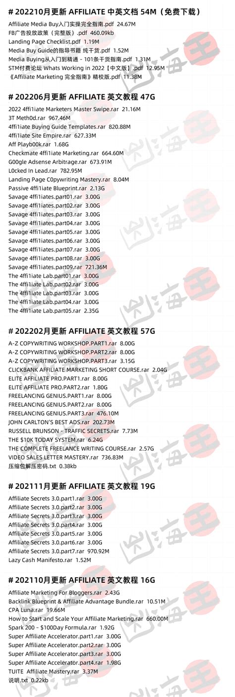 Affiliate Marketing教程！联属网络营销广告推广课程 出海王