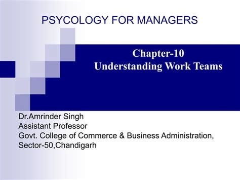 Understanding Work Teams Chapter 10 Organizational Behavior PDF