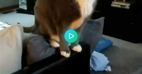 Can I Get A Big Yawn Album On Imgur