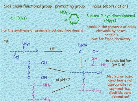 Solid Phase Peptide Synthesis