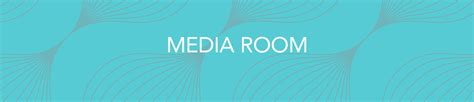 Media Room Skin Perfect Spasskin Perfect Spas