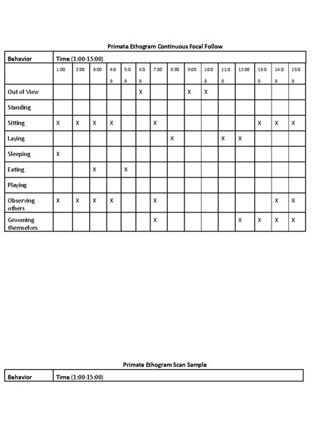 Primate Behavior Study Continuous Focal Follow And Ethogram Analysis