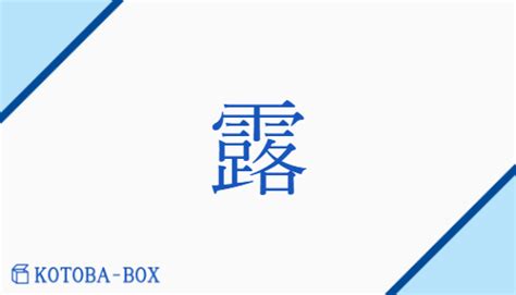 露の読み方や意味を解説KOTOBA BOX
