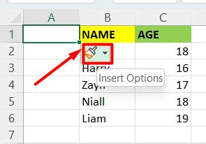 How To Add A Column In Excel 3 Effective Ways