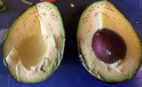How To Tell If An Avocado Has Gone Bad Other Signs Include A Cracked