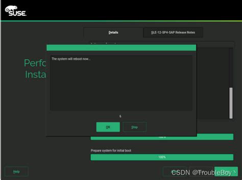 Sap之suse For Sap 12 Sp5安装教程超详细sap 虚拟机 版本 Csdn博客