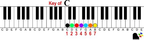 The Key Of C Major C Major Chords Chart Xntt