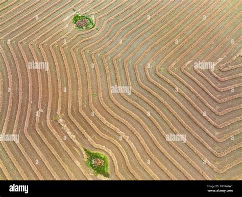 Aerial View Of Abstract Patterns And Lines In A Harvested Field At