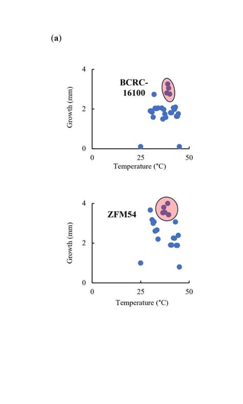 Tolerance Of Lactic Acid Bacterial Isolates From Nipa Sap