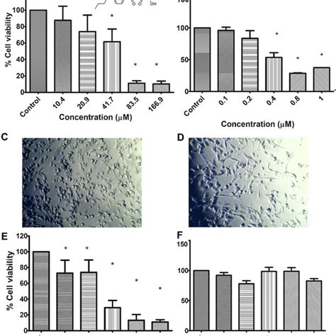 Viability Of Treated Cell Lines Evaluated By Mtt Assay Mda Mb 231