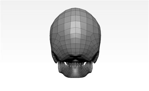 Human Skull 3d Model 40 Unknown Free3d