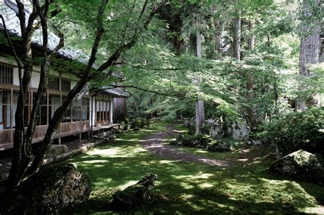 Taga Taisha 多賀大社 Layered Omi