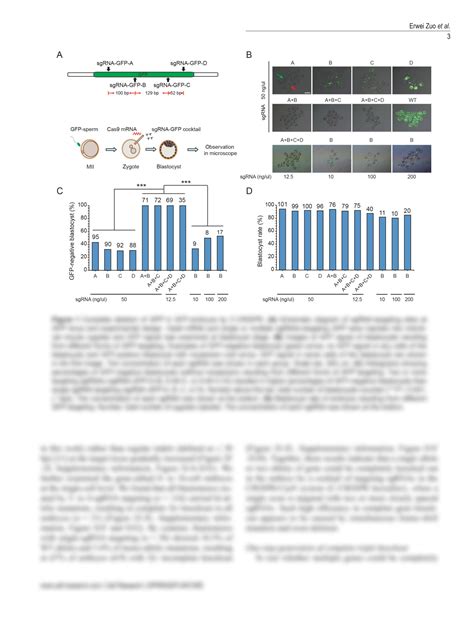 Solution One Step Generation Of Complete Gene Knockout Mice And