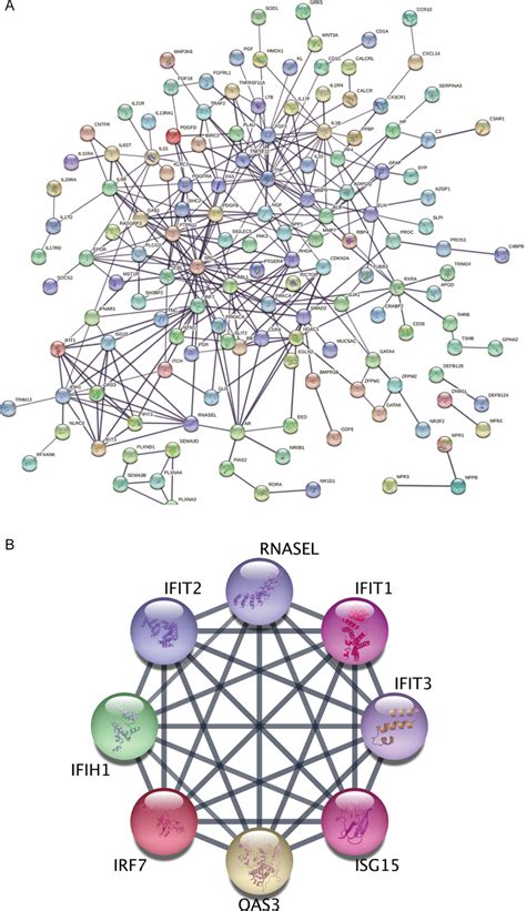 Protein Network Interaction And Screening Of Key Modules A Ppi Protein