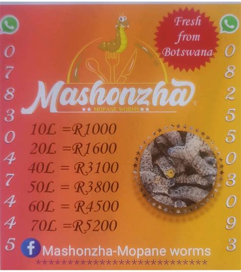 Mashonzha Mopane Worms