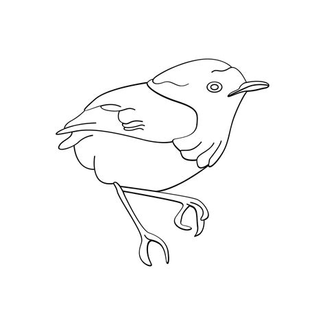 Premium Vector Bird Outline Vector For Coloring Book And Tattoo