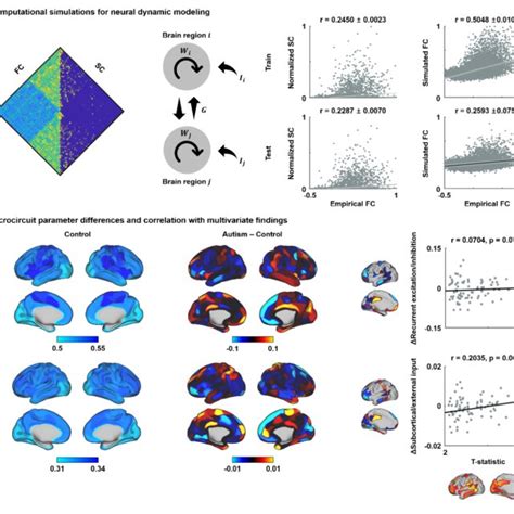 Transcriptomic Analysis To Identify Gene Expression Patterns A Download Scientific Diagram