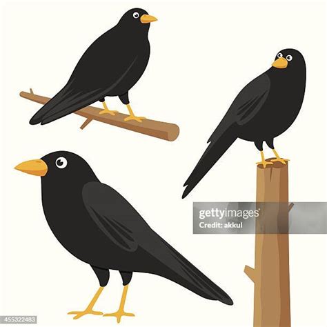 Crow Symbol Photos And Premium High Res Pictures Getty Images