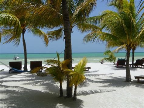 Zomay Hotel Holbox Desde 1927 Isla Holbox México Opiniones Y