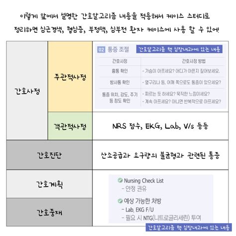 간호학과 케이스스터디 A 작성법 꿀팁 실습지도교수가 직접 알려주는 케이스스터디 객관적 자료 주관적 자료 쉽게 알려주기