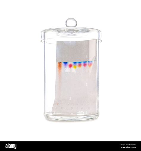 Paper Chromatography Coloured Streaks Left By Different Colour Inks In A Paper Chromatography