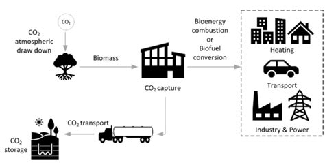What Are Carbon Emissions And How To Reduce Carbon Emissions Carbon Trail