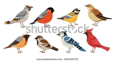 Chickadee Bird Vector Over 1361 Royalty Free Licensable Stock