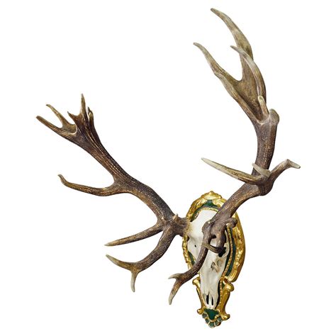 Capital Black Forest Uneven 32 Pointer Deer Trophy On Wooden Plaque For