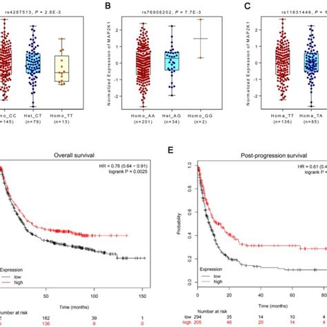 Expression Quantitative Trait Loci Eqtl Analysis For Rs4287513 A