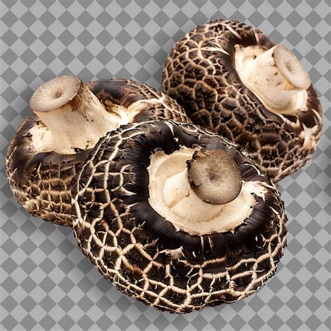 premium psd truffle mushrooms herb type tuber form of herb fresh or