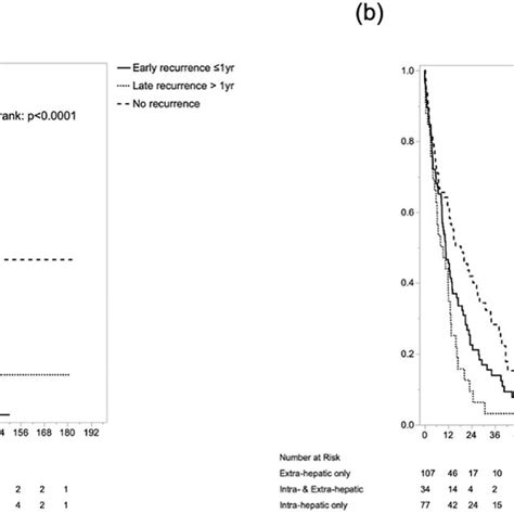Overall Survival After Primary Resection By Treatment Modality