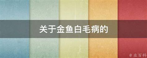 关于金鱼白毛病的 业百科