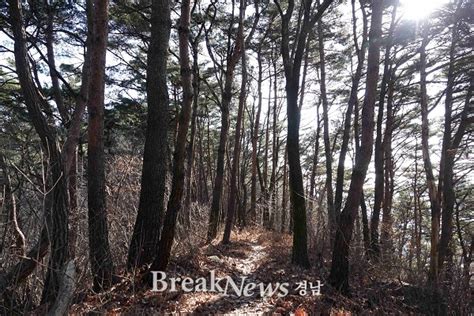 여행 겨울철 힐링여행은 부곡온천에서브레이크뉴스 경남