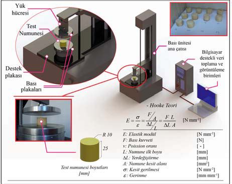 Details Of The Compression Test Download Scientific Diagram